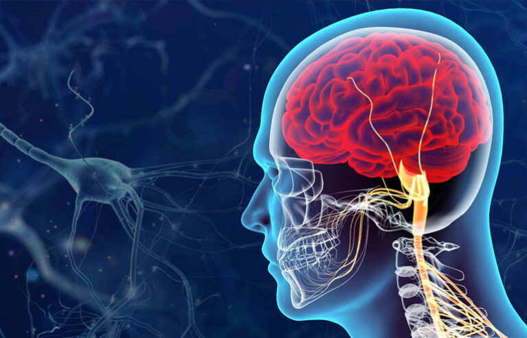 Home - Brain Trust Bio